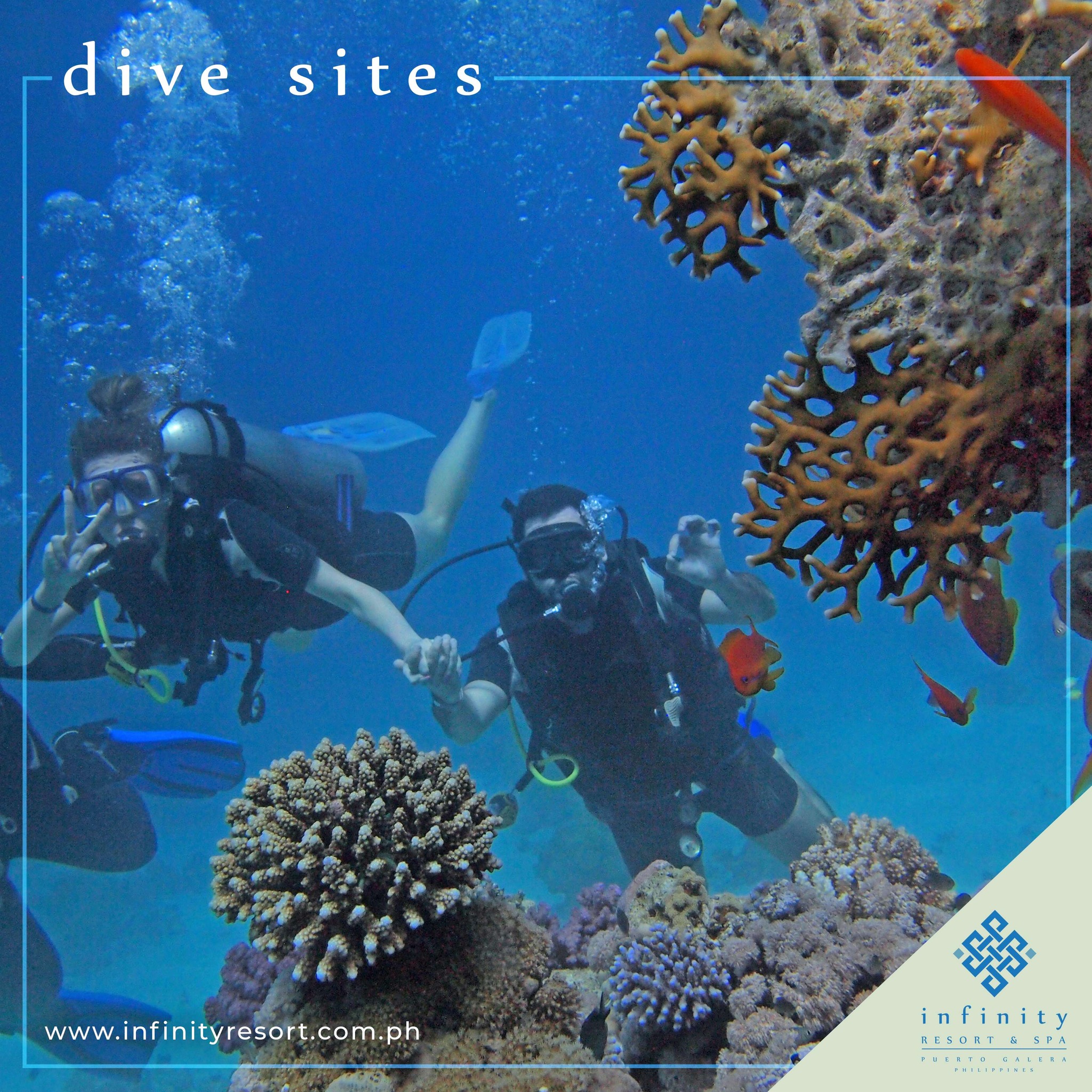 Diving - Infinity Resort